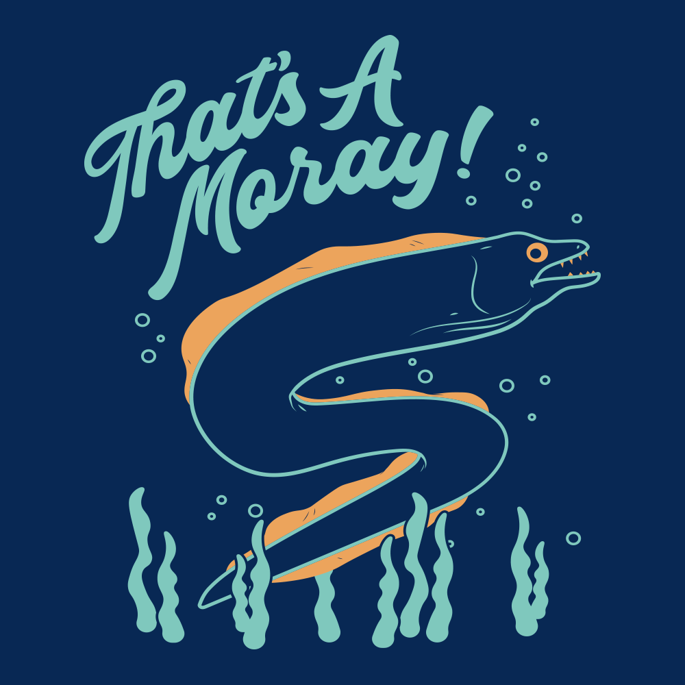 Funny T-Shirts – SnorgTees.com