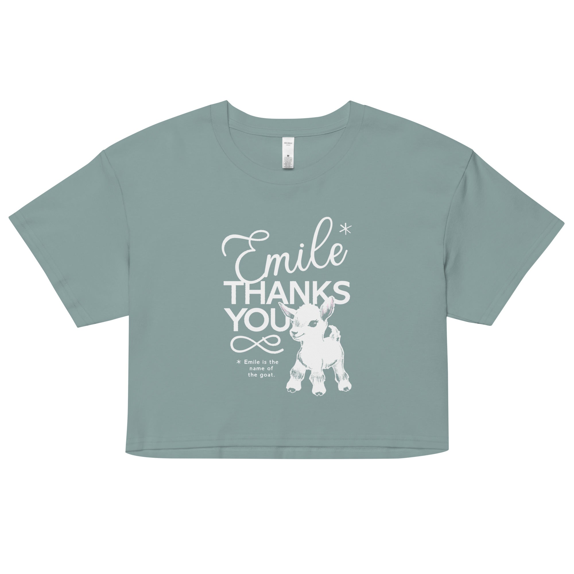 Emile Thanks You Women's Crop Tee – SnorgTees.com